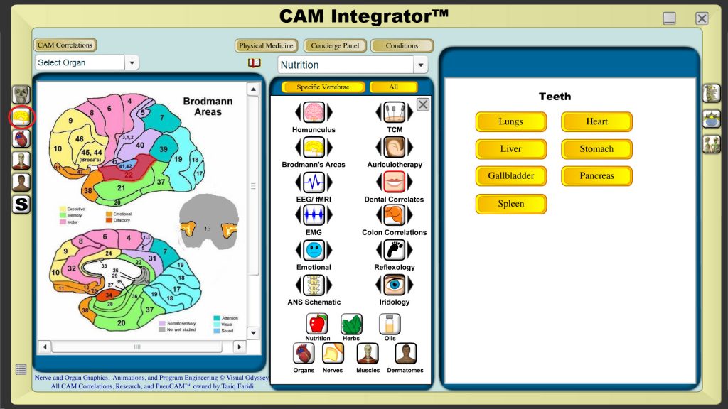 CAM Preview - Neuropatholator